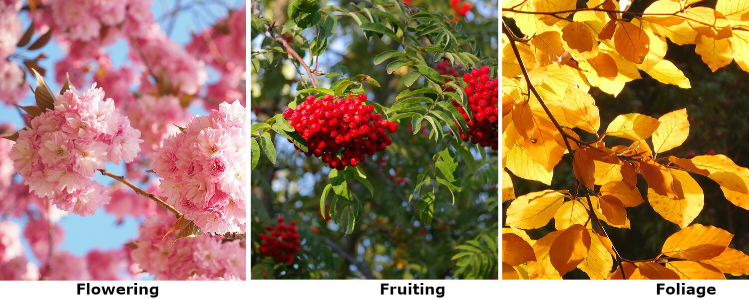 Garden Trends 2017